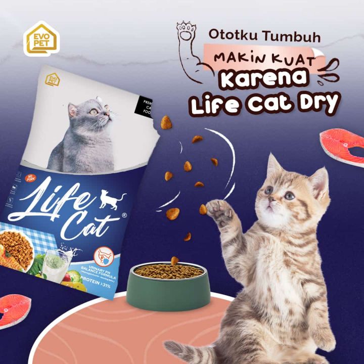 Life Cat Dry Cat Food 1kg (Premium Grade) / Makanan Kucing Ekonomis All ...