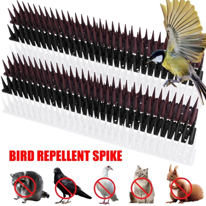 10Pcs Anti Bird Spikes / Cat and Bird Deterrent / Plastic Deterrent ...