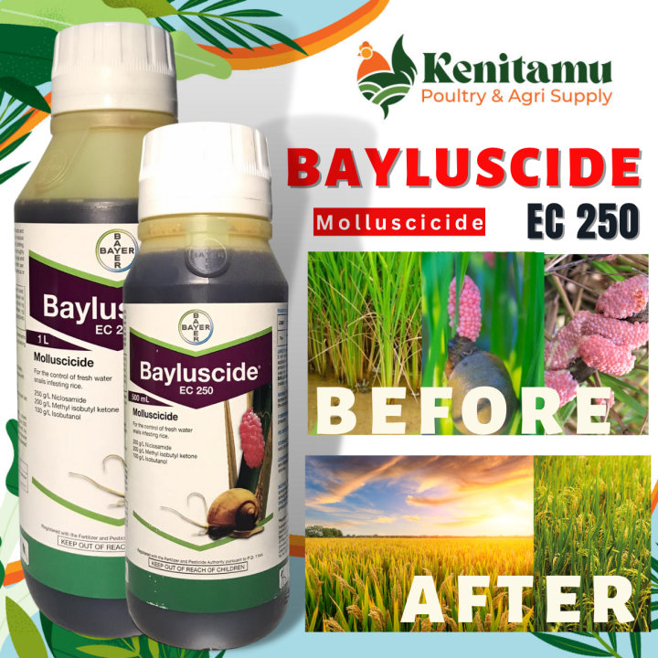 BAYLUSCIDE EC 250 MOLLUSCICIDE (500 ML & 1 LITER) | Lazada PH