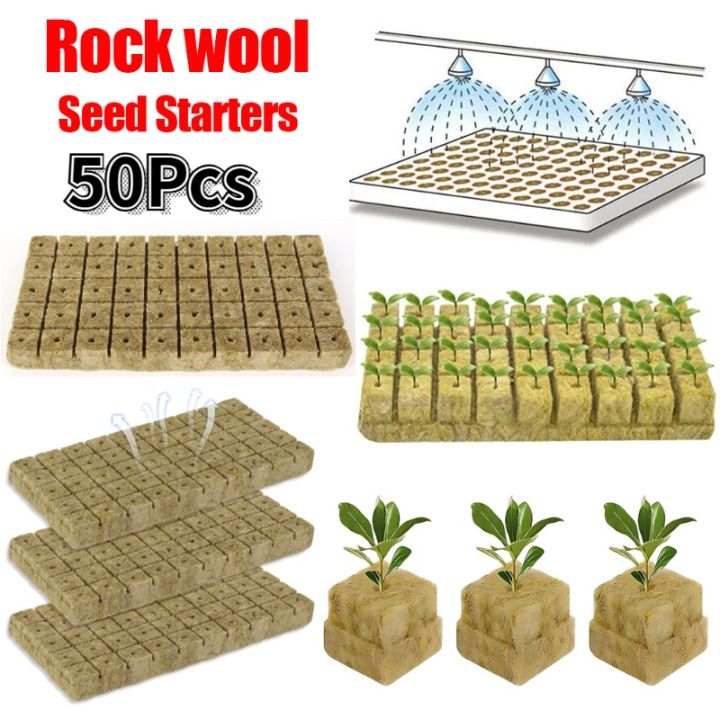 50Pcs 25mm Square Rock Wool Seedling Blocks Seed Planting Grow Block ...