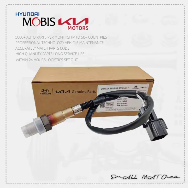 Lambda Oxygen (O2) Sensor (Genuine) For Hyundai Eon (2011-2015) | Lazada PH