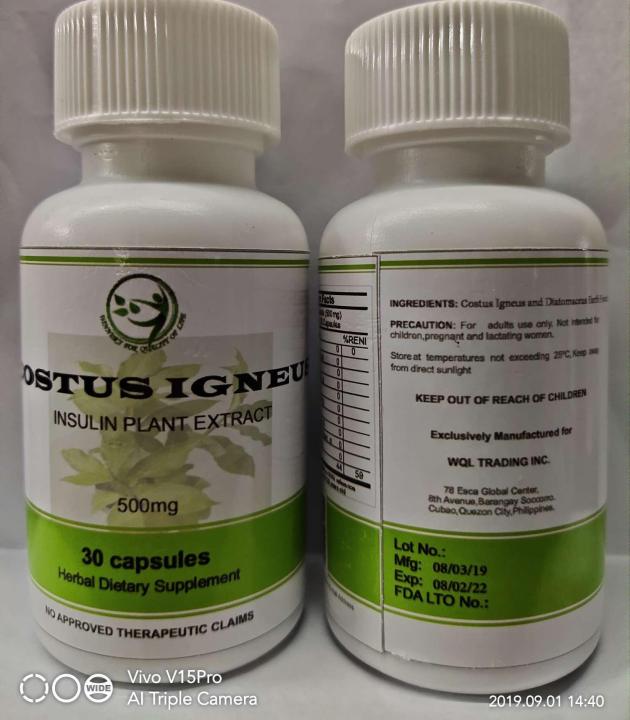 COSTUS IGNEUS INSULIN CAPSULES EXTRACT | Lazada PH
