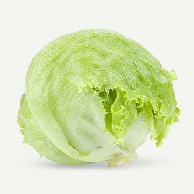 seeds Iceberg Lettuce season Egyptian origin Color light Green Human consumption | Lazada PH