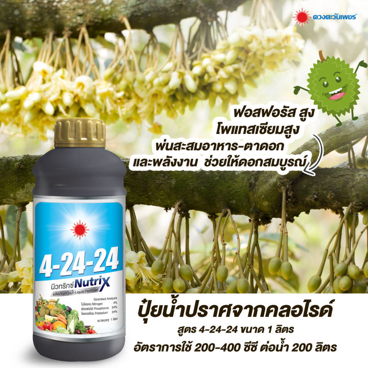 ปุ๋ยน้ำ 4-24-24 สูตรสะสมอาหารในไม้ผล บำรุงราก กระตุ้นการออกดอก ขนาด 1 ...