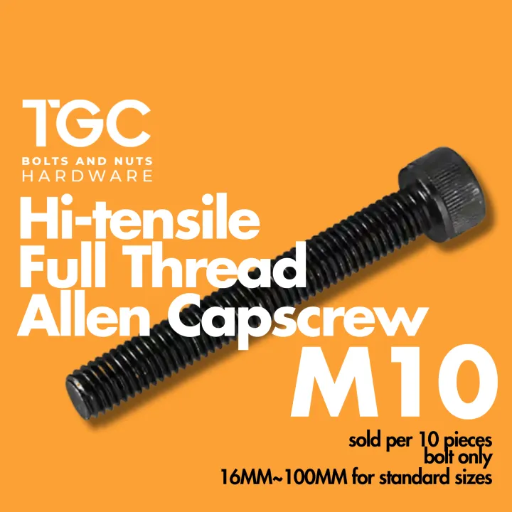 TGC 1-10PCS FULL THREAD M10 (10MM) Hitensile Allen Capscrew/HT Socket ...