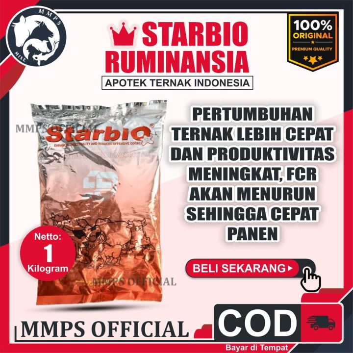 Probiotik untuk sapi kambing dan domba STARBIO 1kg - Starbio Probiotik ...