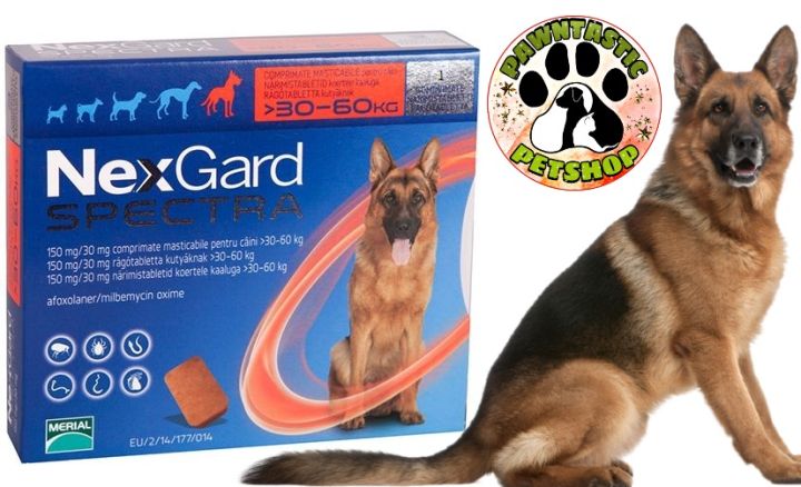 NexGard Spectra Chewable for Dogs 30-60kg [ONE TABLET ONLY w/ Free ...