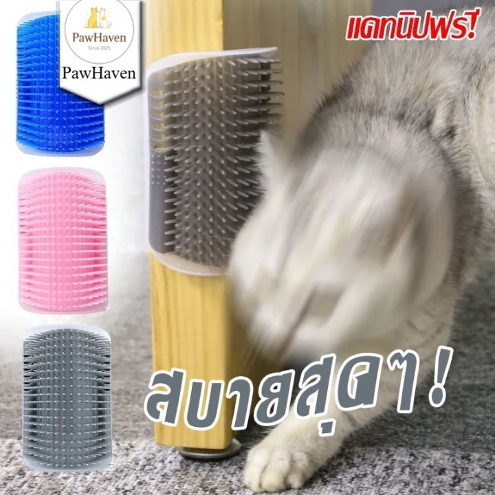 PawHaven พร้อมส่งจ้า หวีขนแมว แปรงนวดขนแมว แบบติดผนัง ให้แมวเข้าไปถู สำหรับแมวทุกวัย 2in1 แคทนิป ...