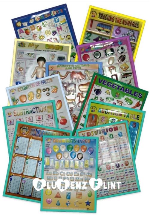 Educational Wall Chart- Embossed Plastic Chart 22 x 16 inches | Lazada PH