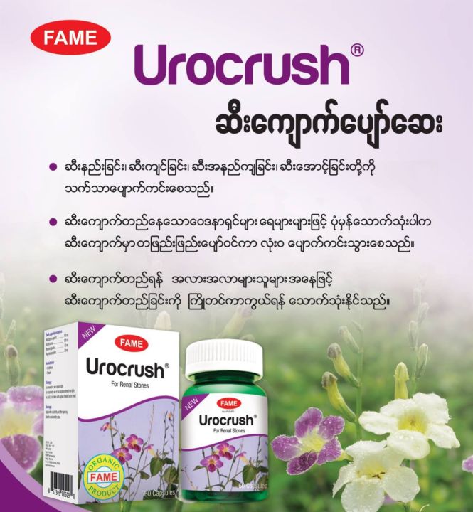 Fame အမှတ်တံဆိပ် ဆီ ကျောက် ပျော် ဆေး တဗူးမှာ ဆေးအလုံး ၆၀ ပါသည် Th