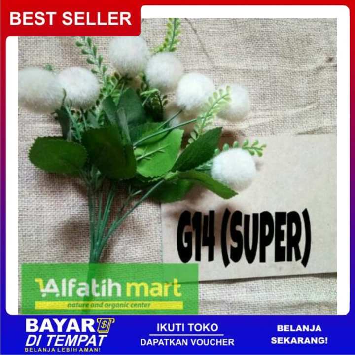Jual BIOSYAFA SUPER G14 Probiotik Khusus Untuk Mutasi Sel atau Kanker ...