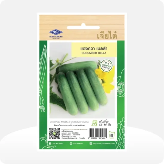 เมล็ดพันธุ์ แตงกวา พันธุ์เบลล่า cucumber bella แตงกวาเบลล่า ดก งอกดี ...
