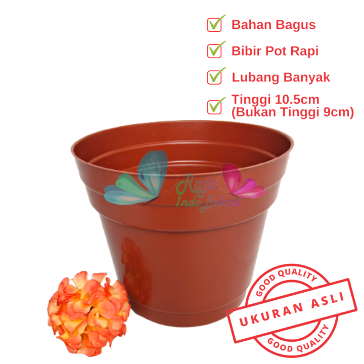 Rajaidobekasi Pot 12 Coklat Polos - Pot 12 Cm Coklat Merah Bata ...