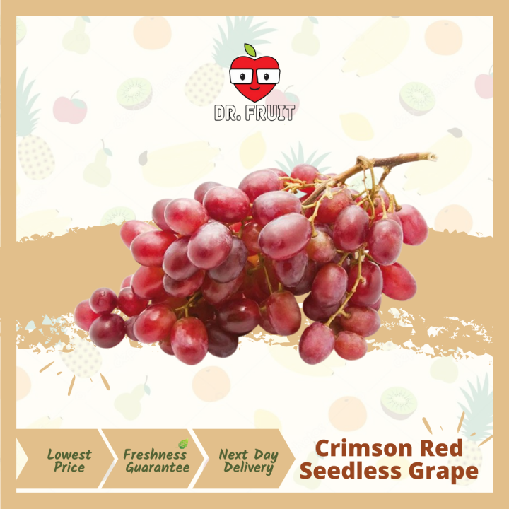 Red Seedless Grape 无籽红葡萄 (500g/pkt) | Dr.fruit /Anggur Merah | Lazada