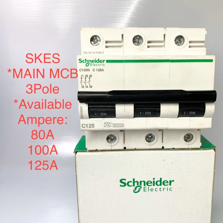 Schneider IC120N 3 Pole 80A -!125A C-curve Miniature Circuit Breaker | SK | Lazada PH