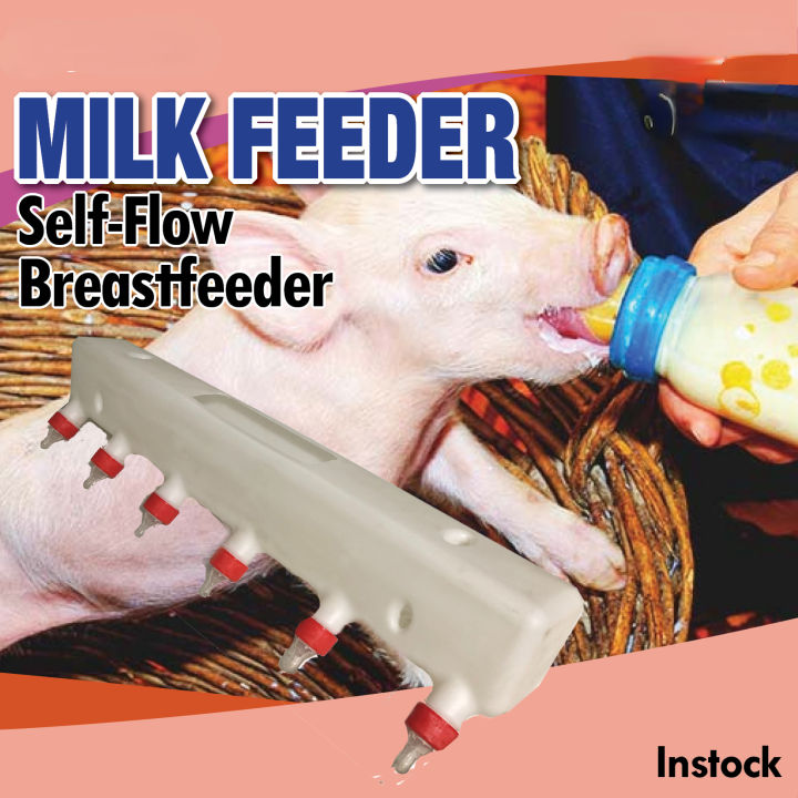 Viddavet Piglets Lambs automatic milk feeder feeding milker piglet ...