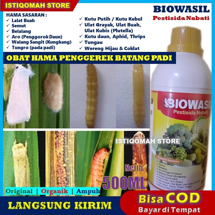 [AMPUH] BIOWASIL 500ml Pestisida Nabati Obat Hama Penggerek Batang pada ...