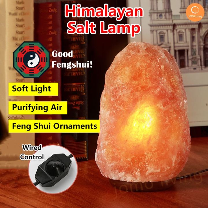 Pure Himalayan Rock Salt Lamp Natural Shaped Air Purifier Ionizer Feng ...