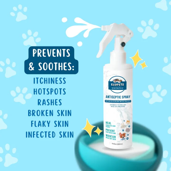ECOPETS Antiseptic Spray (Alkaline Activated Water for Hotspots, Bumps ...