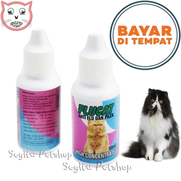 FLUCAT OBAT PILEK FLU CAT KUCING INGUSAN - ukuran 30 Ml | Lazada Indonesia