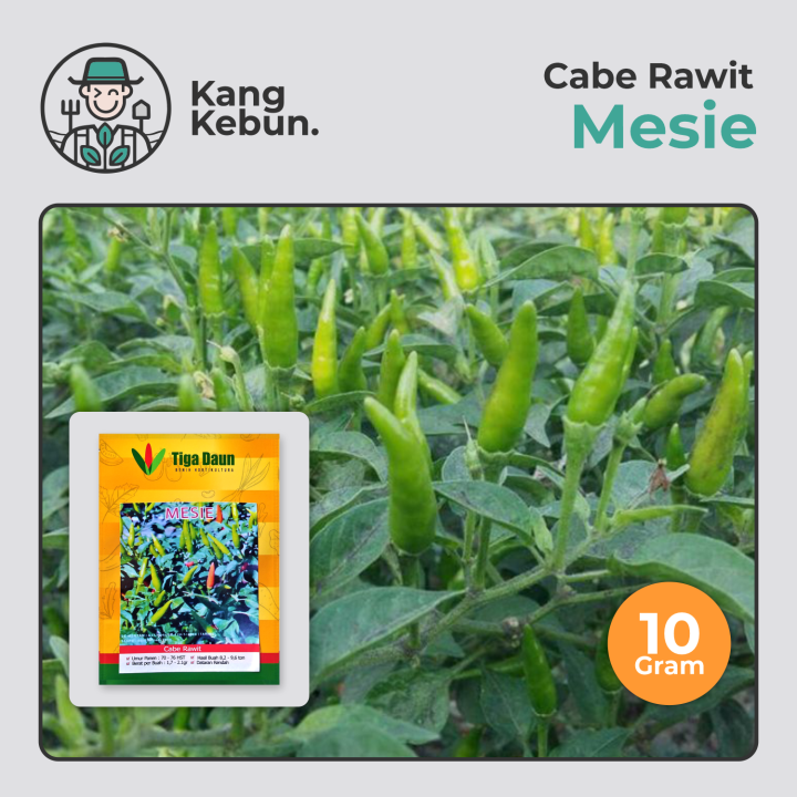 Benih Cabe Rawit Mesie isi 10 Gram Cap Tiga Daun | Lazada Indonesia