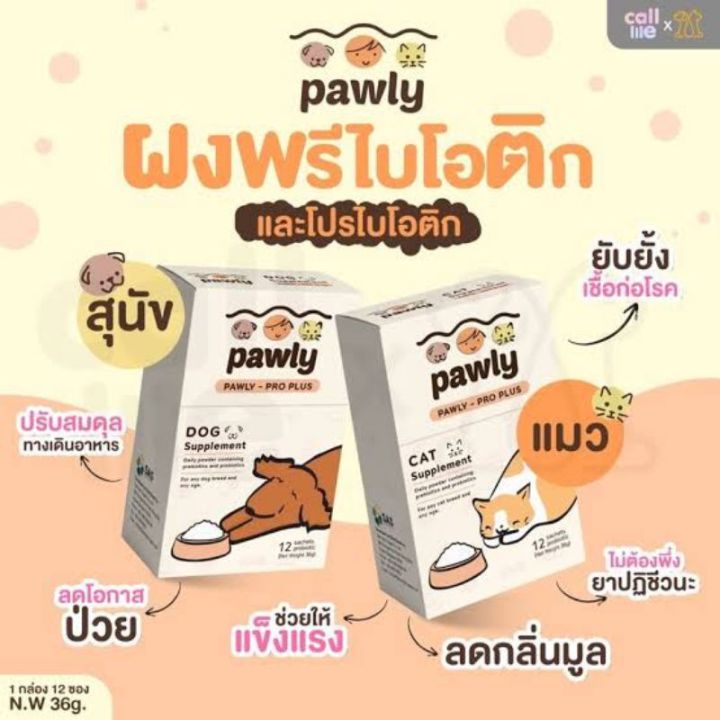 Pawly Pro plus Synbiotic ผงพรีไบโอติกและโปรไบโอติก สำหรับแมวและสุนัข 36g 1 กล่องบรรจุ | Lazada.co.th