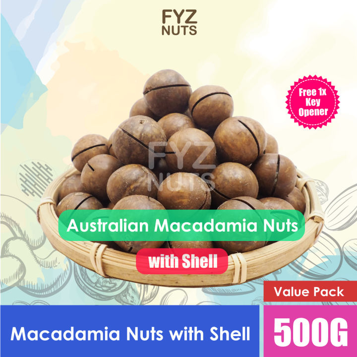 FYZ Herbs Australia Macadamia Nuts with Shell AAA 500G [Roasted ...