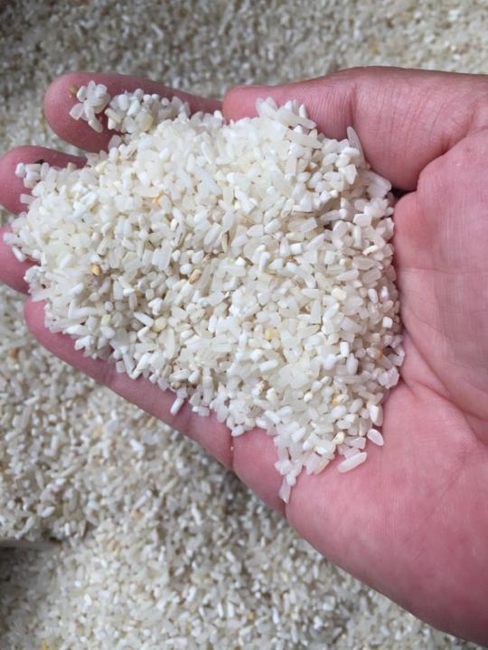 3kg Beras Temukut / Beras Hancur / Makanan Ternakan Ayam Burung Angsa ...