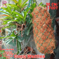 30 cm Coco Fiber Wattles for Soil Stabilization, Orchids & Hanging ...