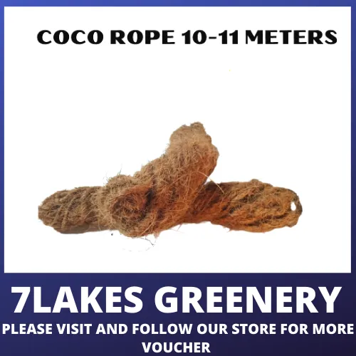 BUY 1 TAKE 1 COCO ROPE COCONUT FIBER ONHAND | Lazada PH