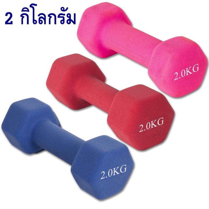 ดัมเบล Dumbbells สำหรับลดไขมันต้นแขน ออกกำลังกาย ฟิตเนส 1/2Kg. 1 ชิ้น ...