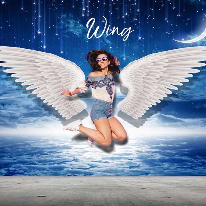 . 3d solid angel wings background wall wallpaper feather wallpaper ...