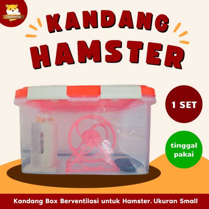 Kandang Hamster Box 1 set Lengkap - Lebih Aman dibanding Kandang Jeruji ...