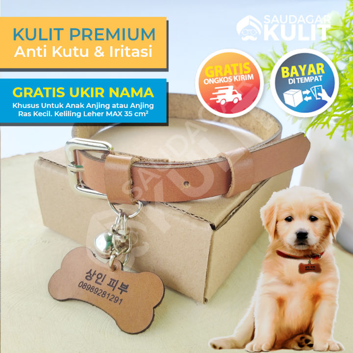 KALUNG ANJING PUPPY PREMIUM KULIT ASLI LIONTIN CUSTOM KUAT TAHAN LAMA ...