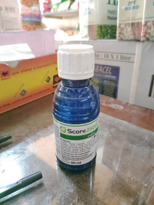 Fungisida Score 250 EC 80 ml | Lazada Indonesia