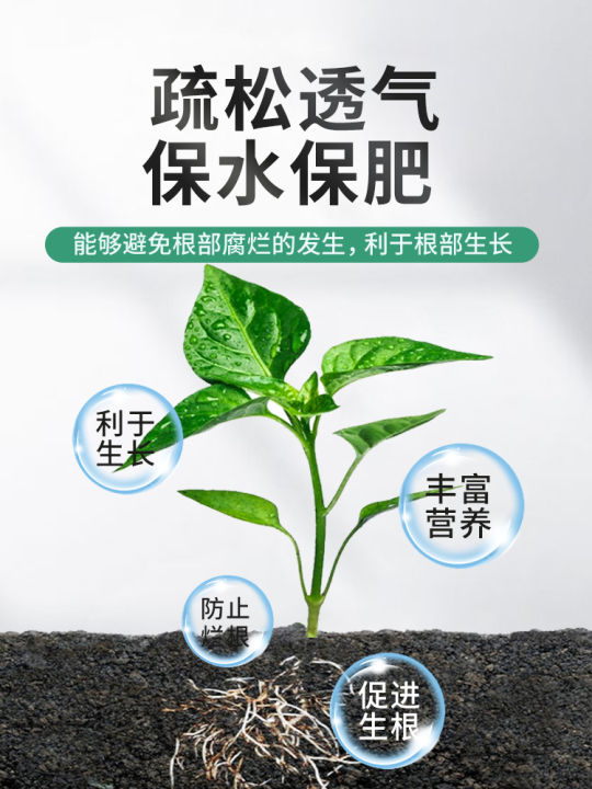 Japan imported 18 liters of nutrient soil pavement with fleshy granules ...