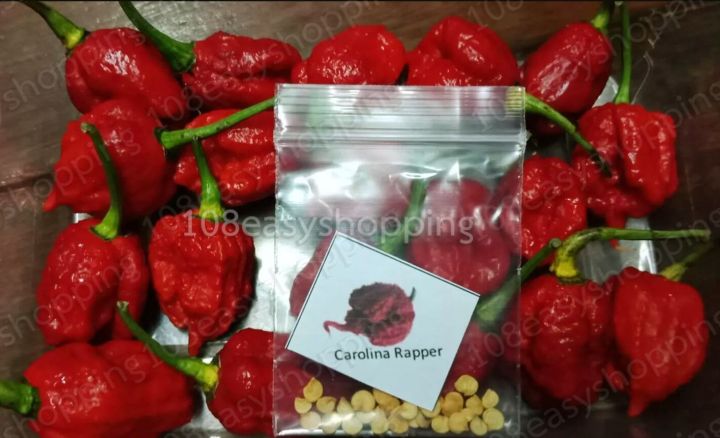 พริกเผ็ดที่สุดในโลก CAROLINA REAPER PEPPER เมล็ดพันธุ์พริกแคโรไลนา พริก ...