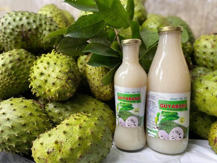 Gerry's Farm GUYABANO Organic Fresh Puree (MAXIMUM 3 BOTTLES ONLY PER ...
