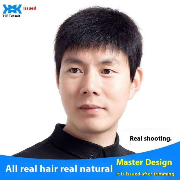 TSE Men's Wig For Middle-Aged And Elderly, Stylish Natural Breathable ...
