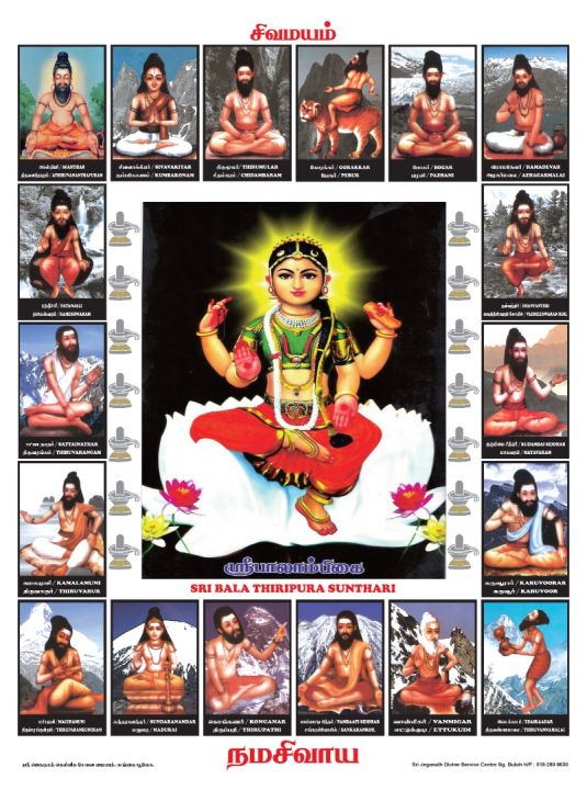 18 Siddhargal Poster (Hindu Saint Poster) Synthetic Vinyl Sheet - 46cm ...