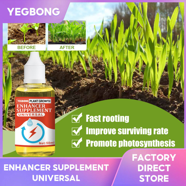 Yegbong Plant Growth Enhancer Hydroponic Nutrients Promotes Growth ...