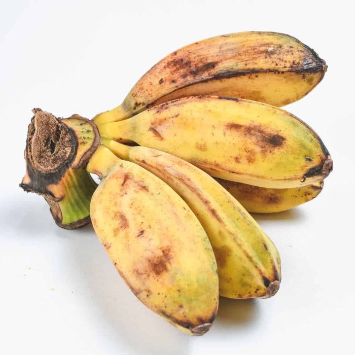 Banana Saba - TEST DO NOT BUY | Lazada PH