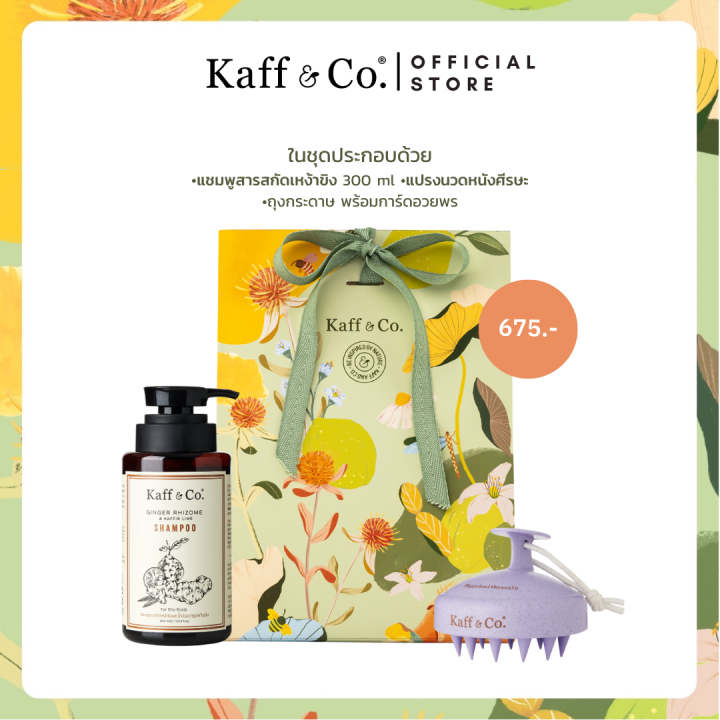 Kaff & Co. [Gift Set] แชมพูสารสกัดเหง้าขิงและน้ำมันมะกรูดสกัดเย็น 300 ...