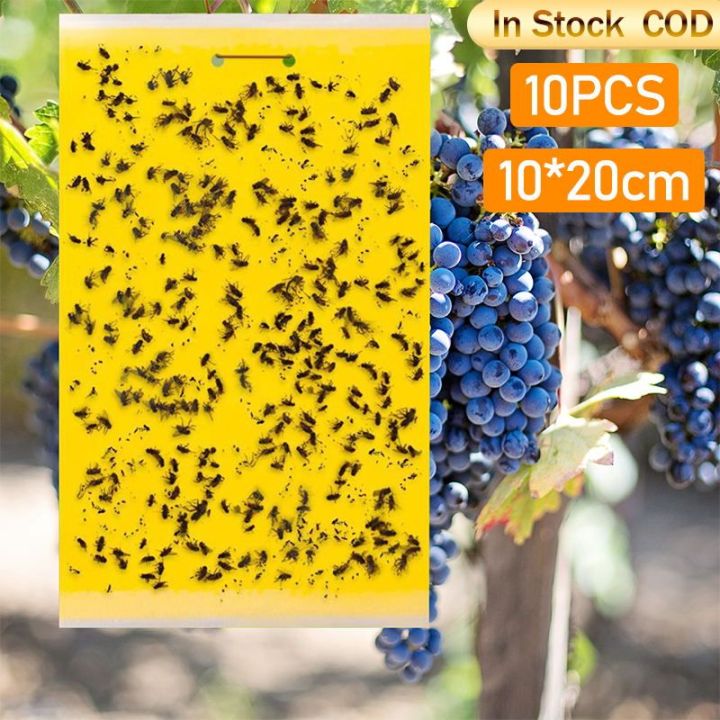 10pcs Strong Flies Traps Bugs Sticky Board Yellow Double-Sided Sticky ...