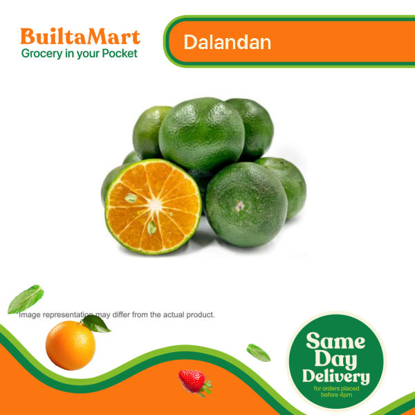 Fresh Dalandan (450-500g) - [Same Day Delivery cut off at 10:59AM ...