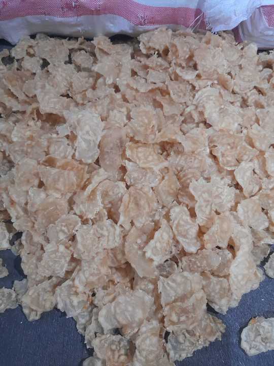 1KG Makanan Chinese Hipiaw Mentah Ikan Kerapu - Gelembung Makanan ...