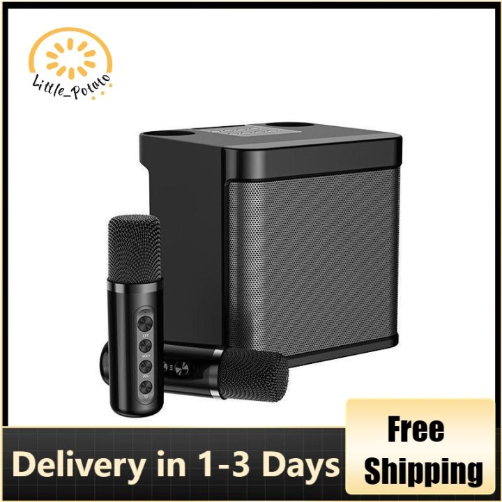 Wireless Home KTV Karaoke Speaker with Dual Wireless Microphone ...