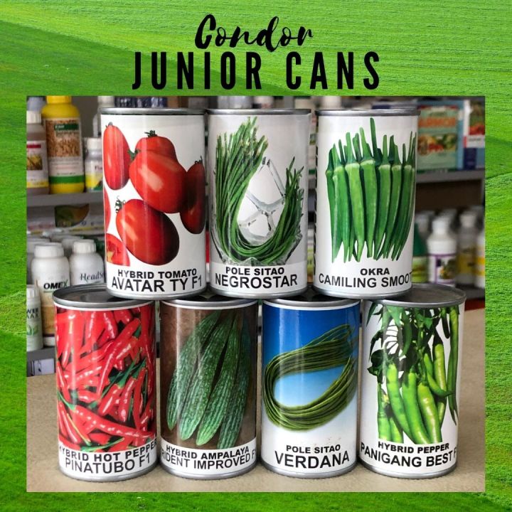 CONDOR Junior Can Okra, Hot Pepper, Sitaw and Tomato Seeds Ampalaya ...