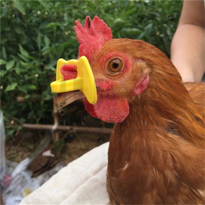 JUYI 20 Pcs Yellow Plastic Chicken glasses Anti-pecking Poultry ...