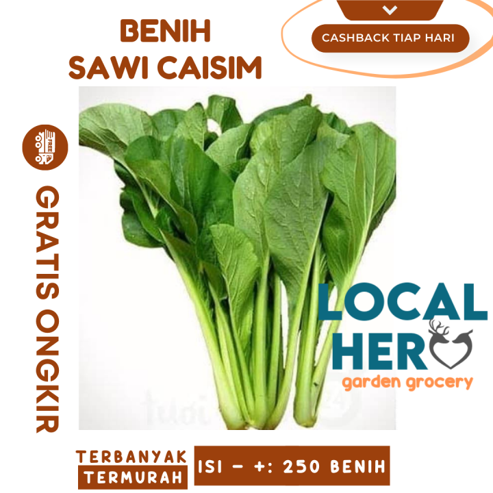 250 Benih Sawi Caisim Manis Hidroponik Bibit Tanaman Sayur Sayuran ...